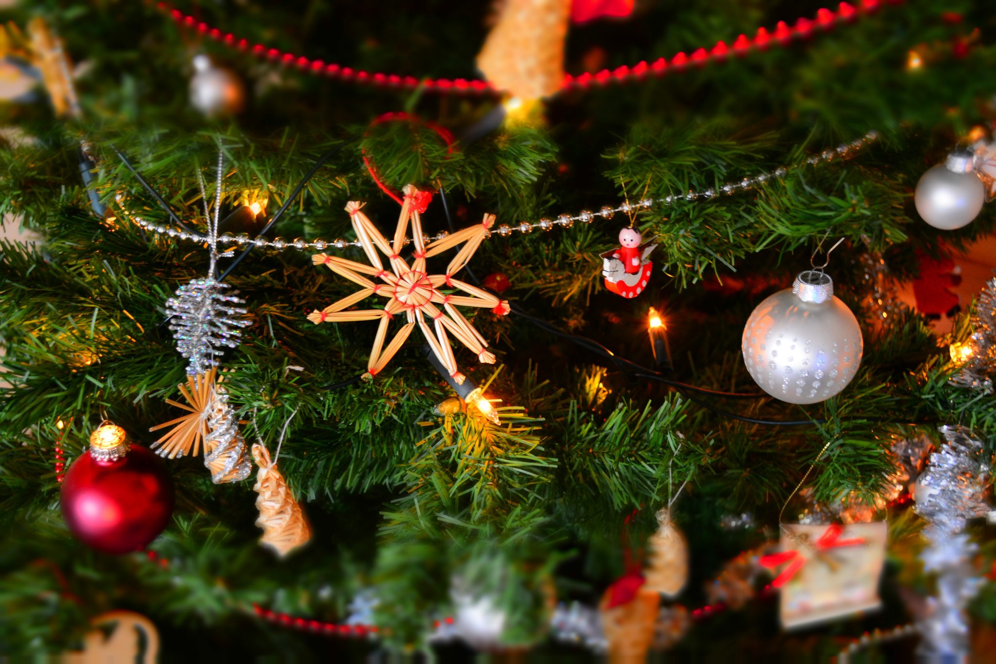 Five ways to get through the festive period - Charlie Watkins Foundation